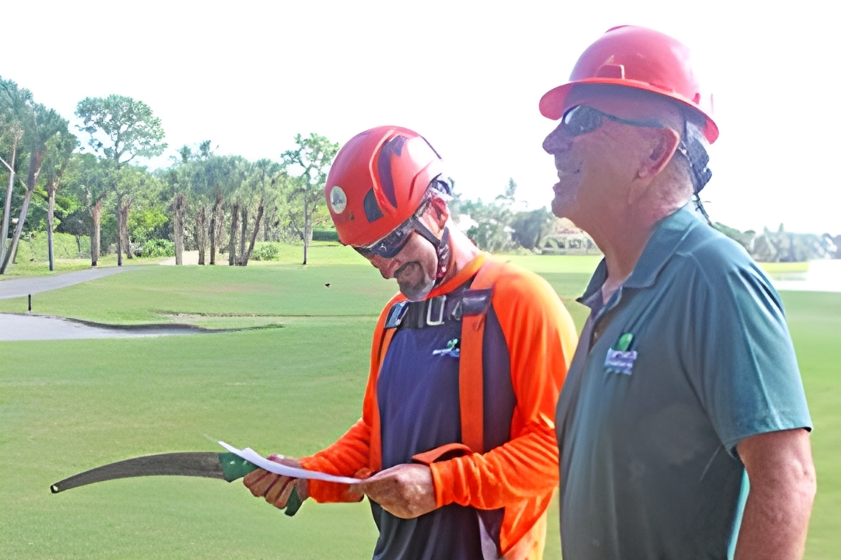 Cold Snap Tree Protection For South Florida Homeowners | Sherlock Tree