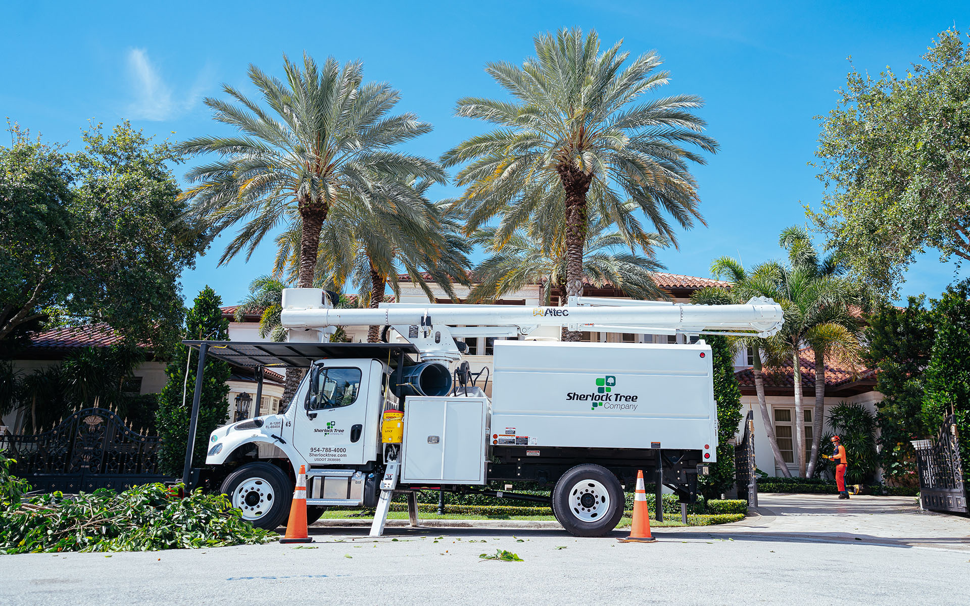 Tree Service Insurance, Certification & Accreditation: Why They Matter ...